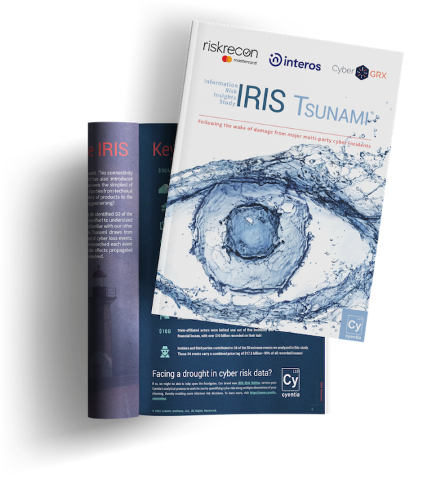 IRIS Tsunami - Cyentia Institute